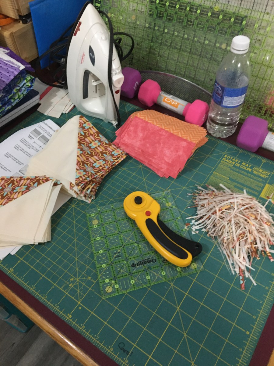 January OMG – Quilt Schmilt